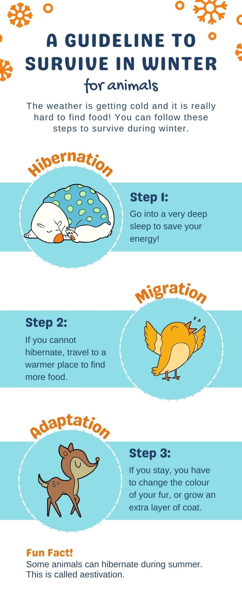 Animals’ Guideline to Surviving in Winter – AnimalPages