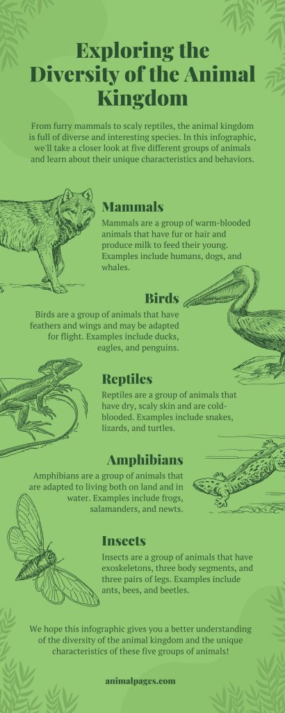Exploring the Diversity of the Animal Kingdom – AnimalPages