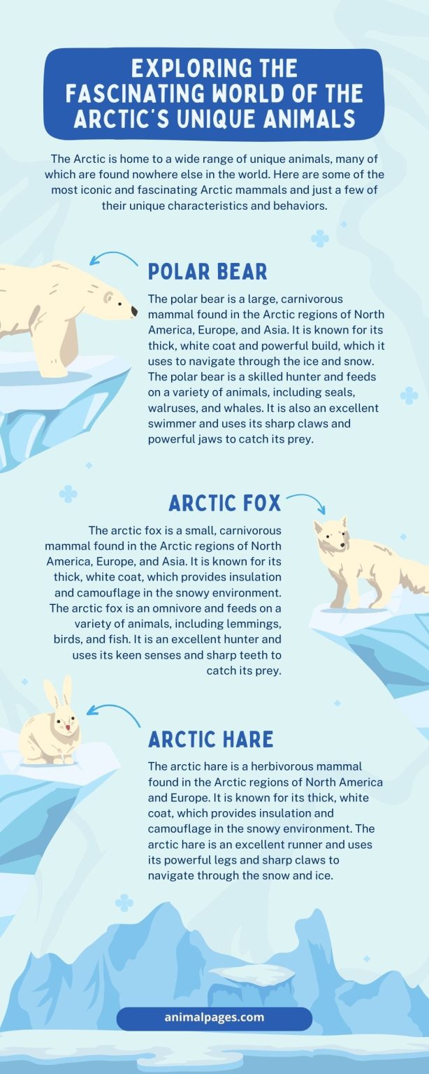 Exploring the Fascinating World of the Arctic’s Unique Animals ...