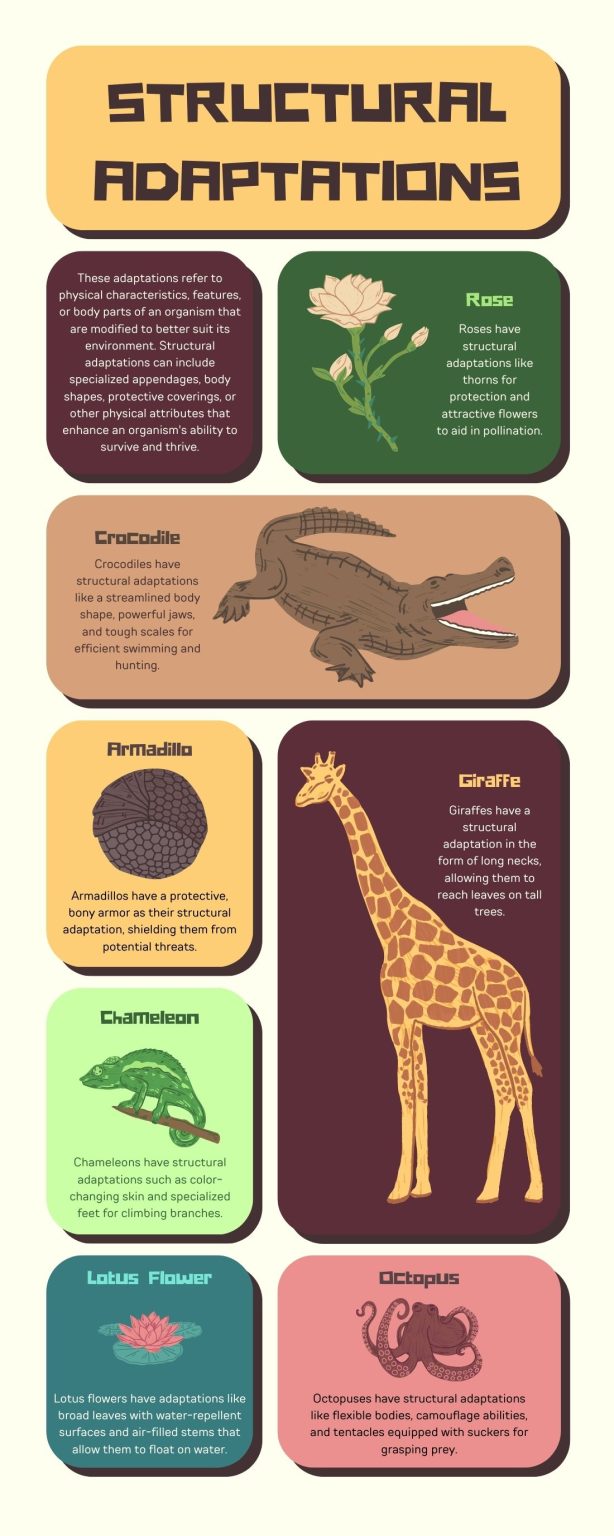 Built to Survive: Structural Adaptations in Nature – AnimalPages