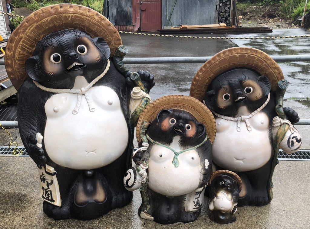 What Is a Tanuki? Meet the Japanese Raccoon Dog – AnimalPages